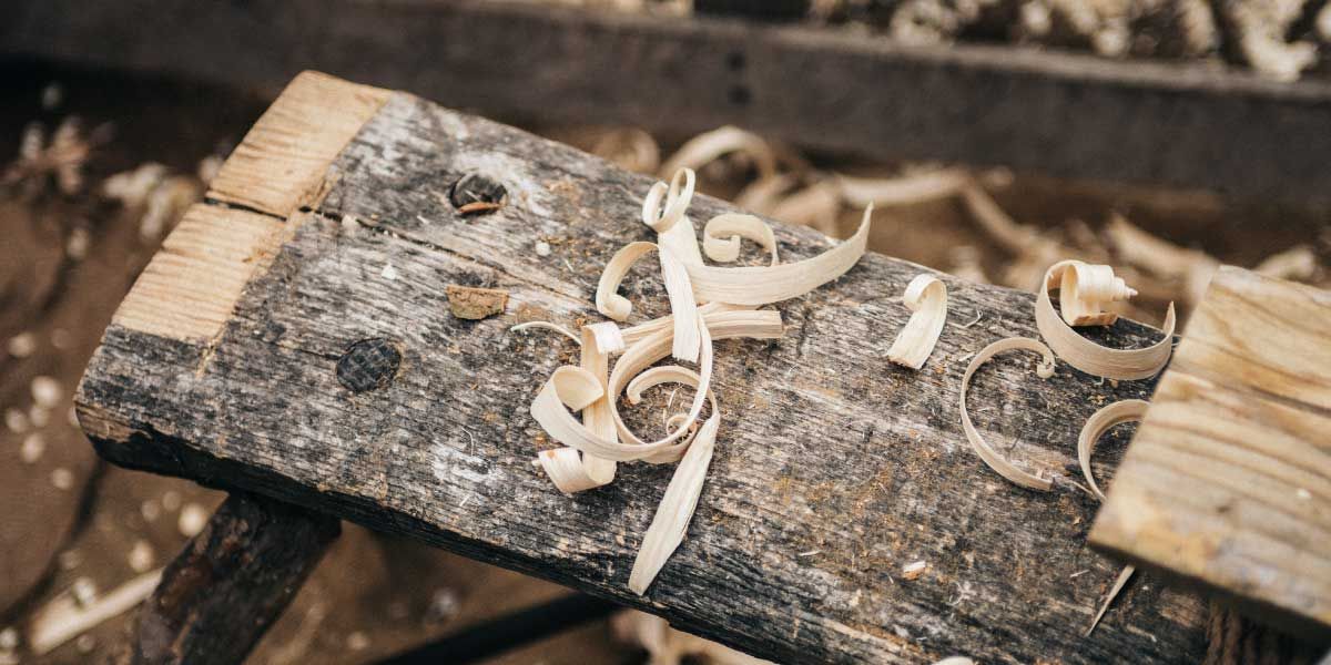 Tipos de madera: Clasificación y características | OpusLine